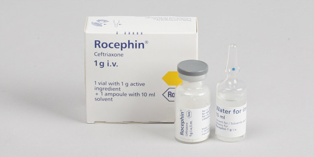 로세핀 주 1g Rocephin Inj 1g 의약품정보 의료정보 건강정보 서울아산병원